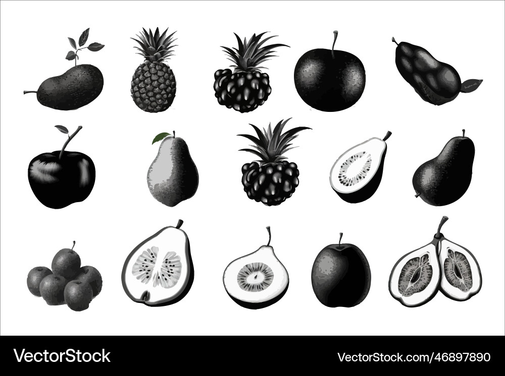 Fruits black icons isolated on background Vector Image