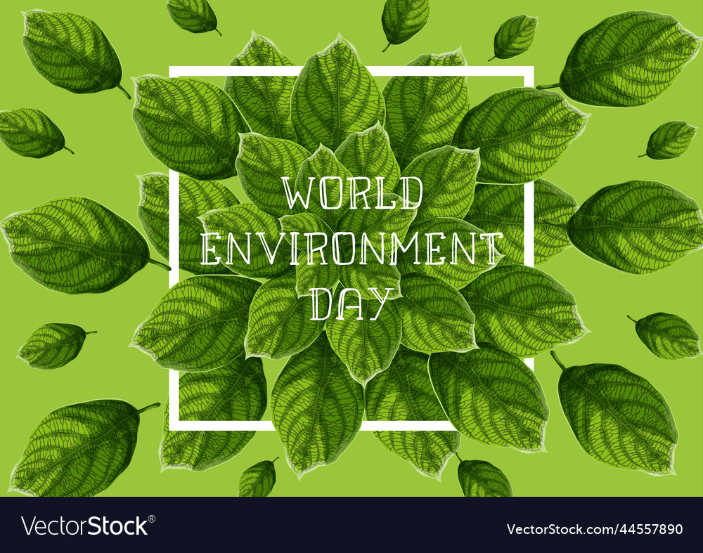 World environment day banner with green textured Vector Image