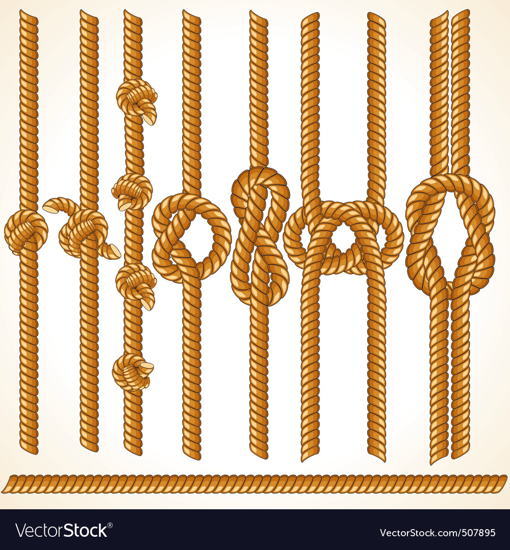 Seamless rope elements Royalty Free Vector Image