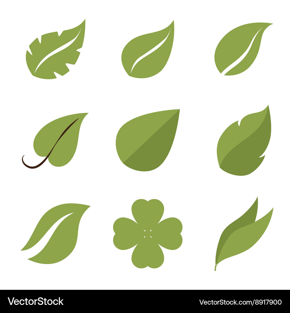 Green leafs isolated design Royalty Free Vector Image