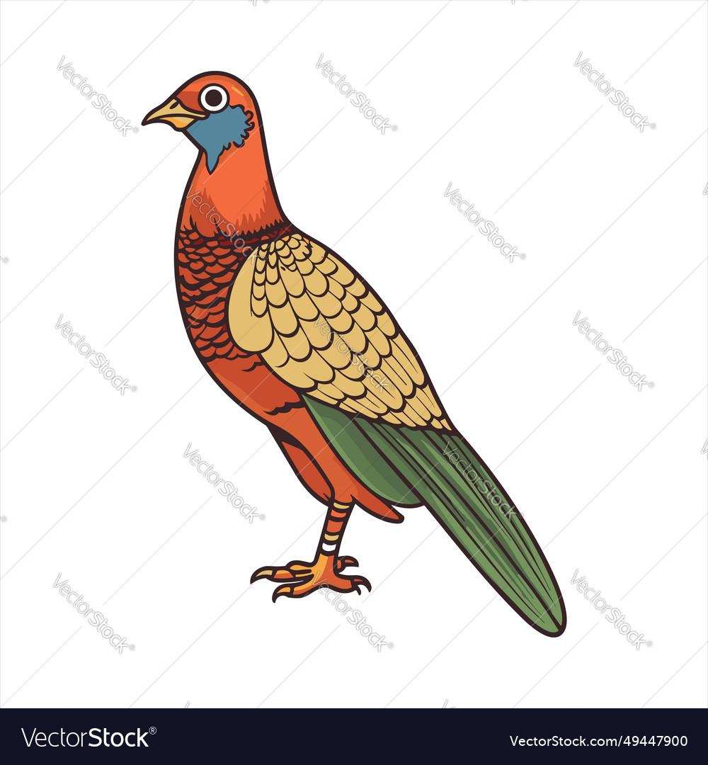 Pheasant cute funny cartoon kawaii clipart Vector Image