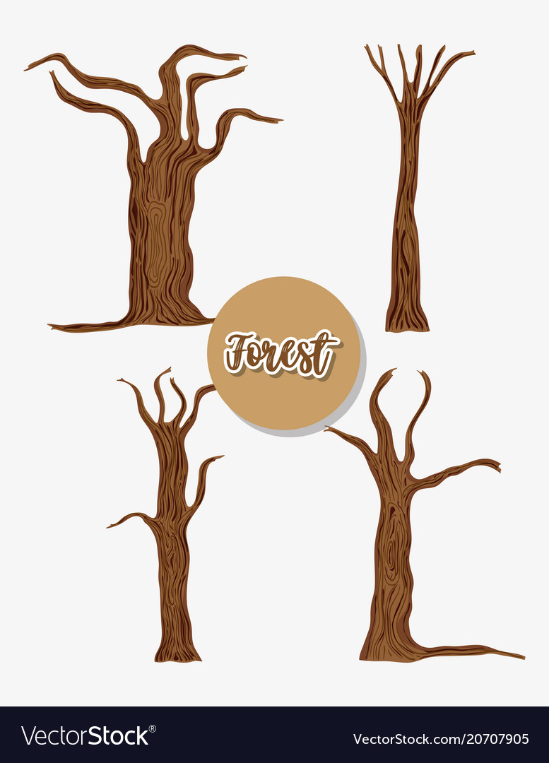 Set of trees Royalty Free Vector Image - VectorStock