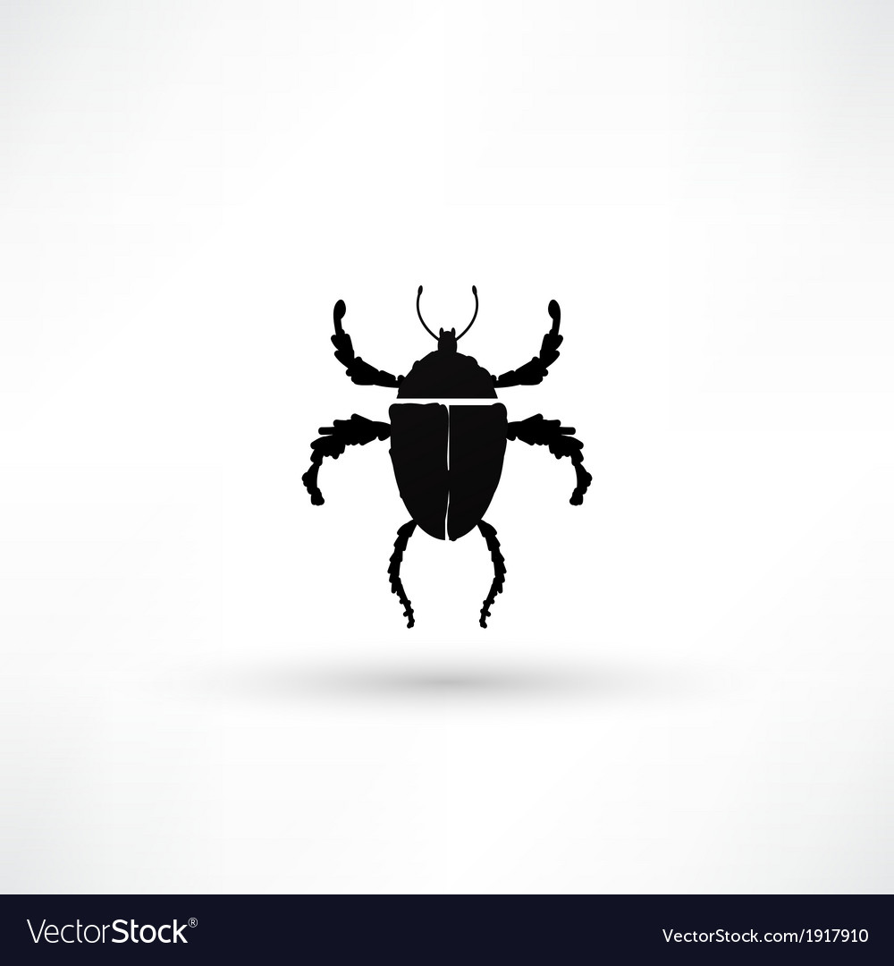Bug Royalty Free Vector Image - VectorStock
