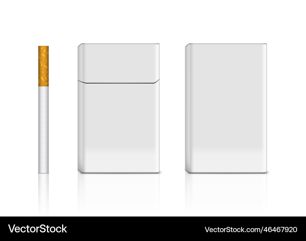 3d front and back view of flip-top cigarette pack Vector Image