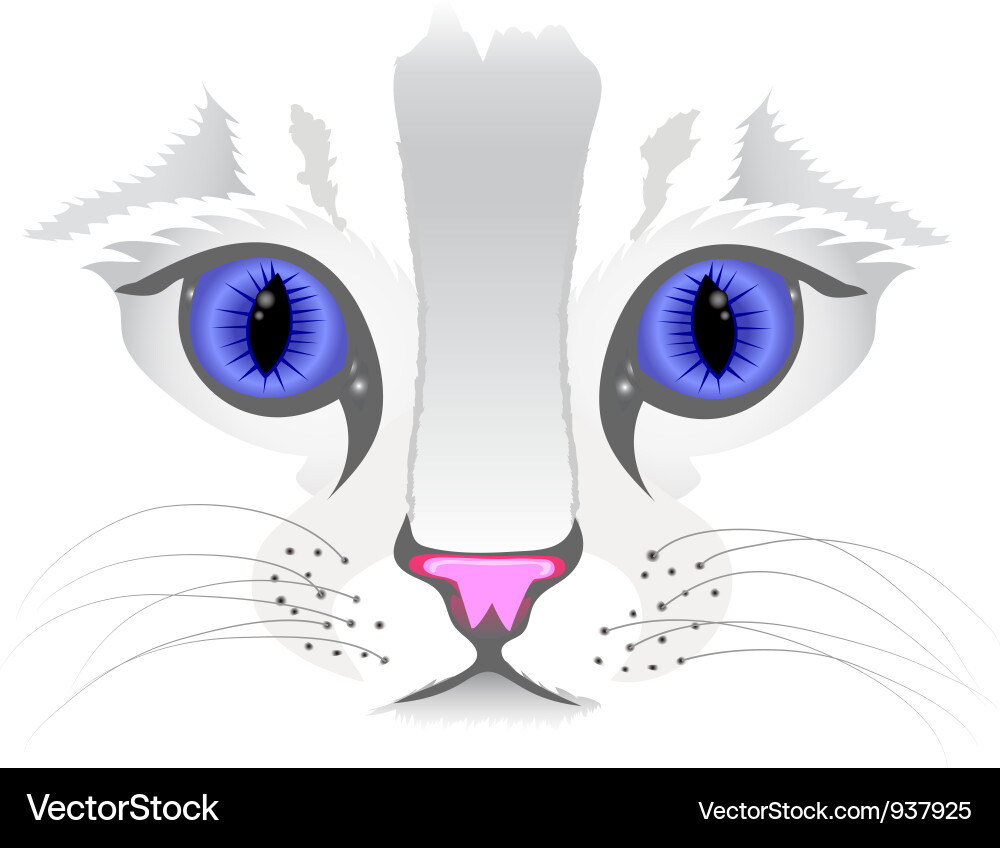 Close up of cat face Royalty Free Vector Image