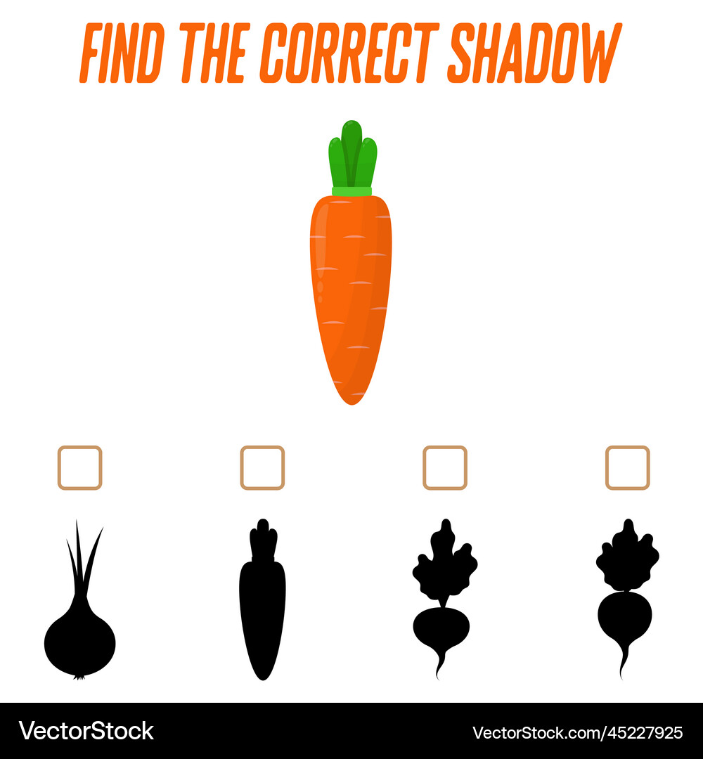 Find the right shadow cute carrot educational Vector Image