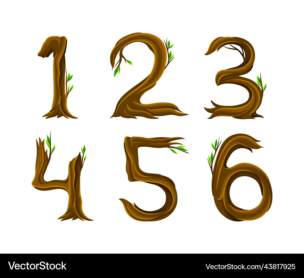 Woody number arranged from branching tree stem Vector Image