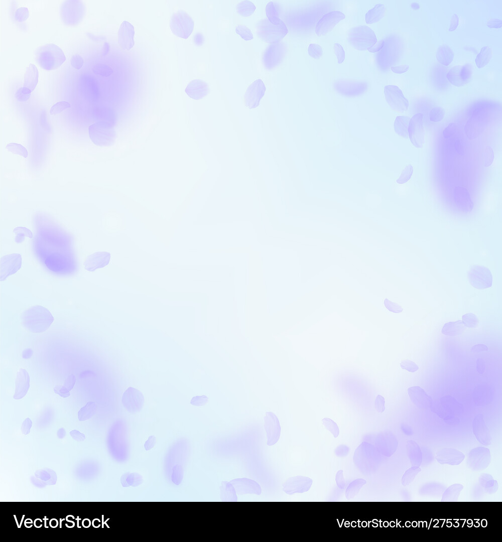 Violet flower petals falling down fancy romantic Vector Image