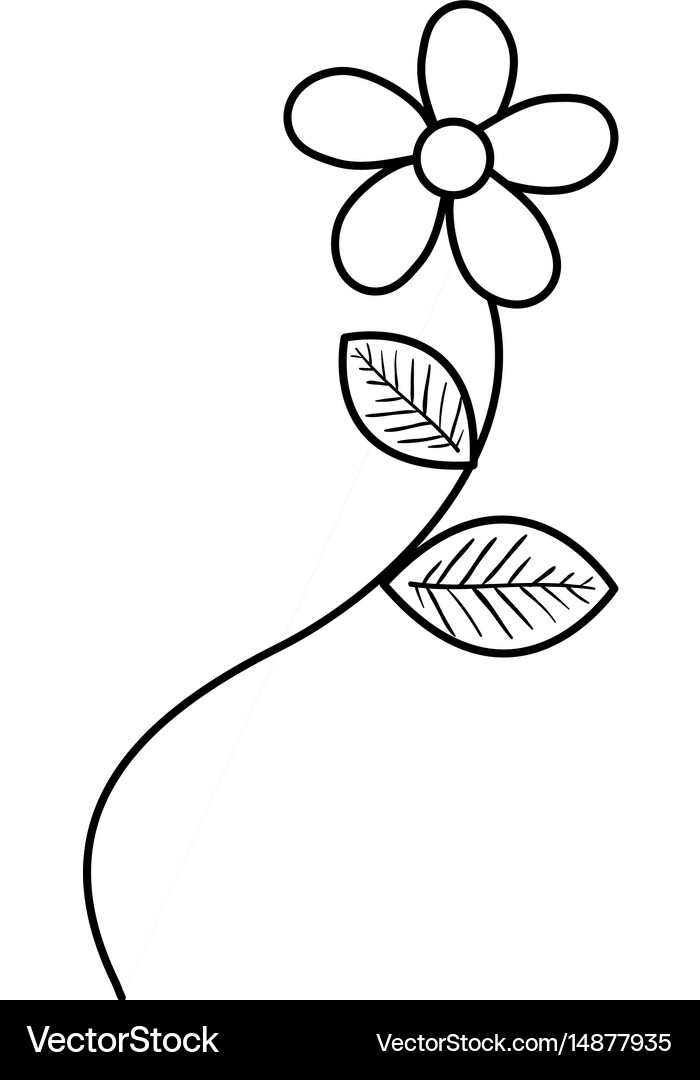 Beautiful flower decoration icon Royalty Free Vector Image