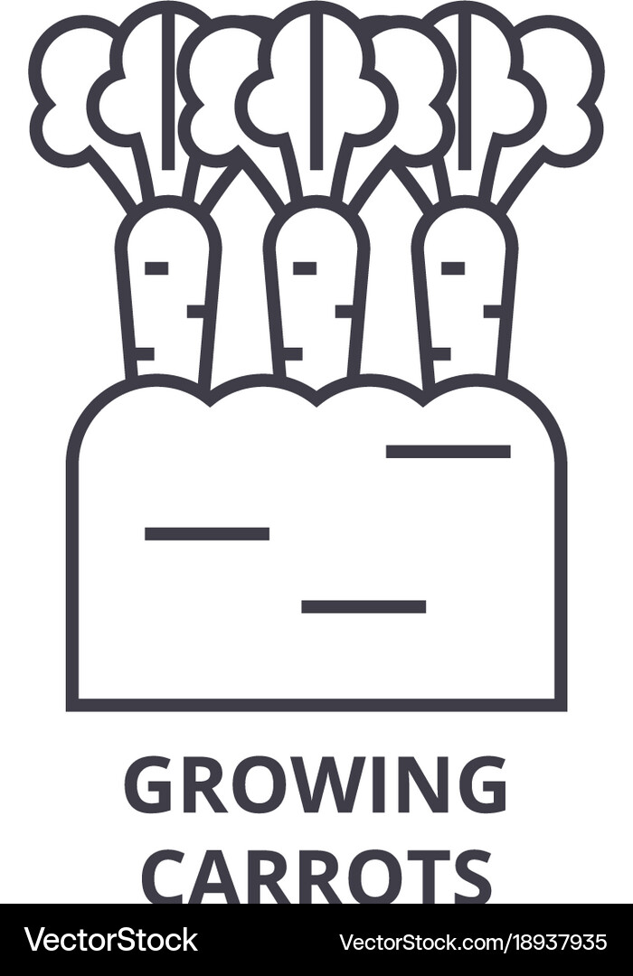 Growing carrots line icon outline sign linear Vector Image