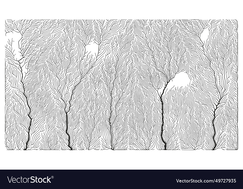 Growth Pattern Generative Branching Structure Vector Image