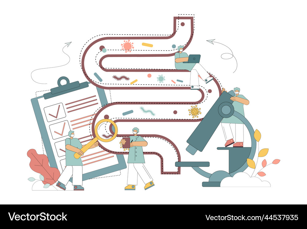 Intestines intestinal flora gastrointestinal Vector Image