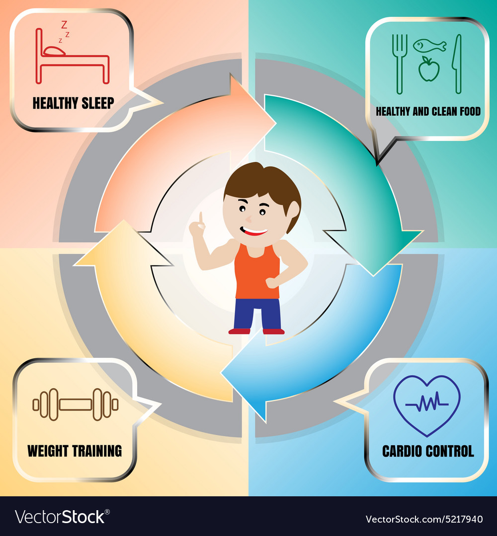 Bodybuilding and training cycles Royalty Free Vector Image