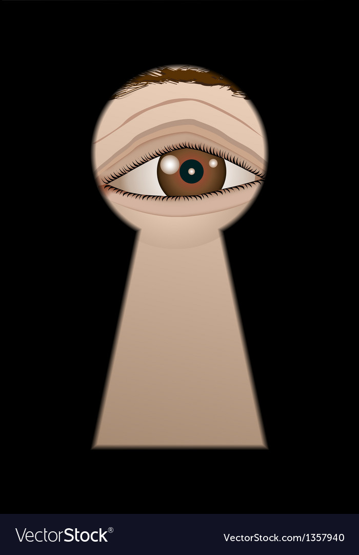 Eye behind a keyhole Royalty Free Vector Image