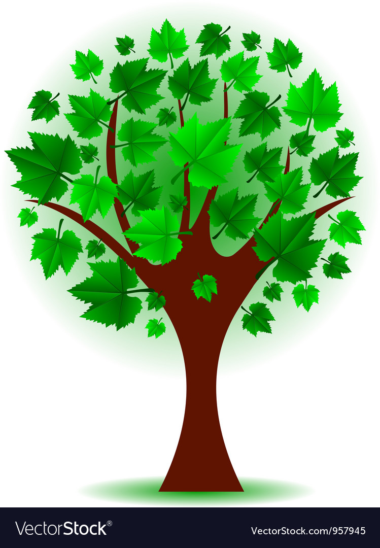 Green tree Royalty Free Vector Image - VectorStock