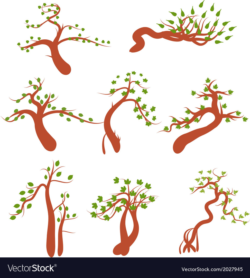 Highly detailed spring trees Royalty Free Vector Image
