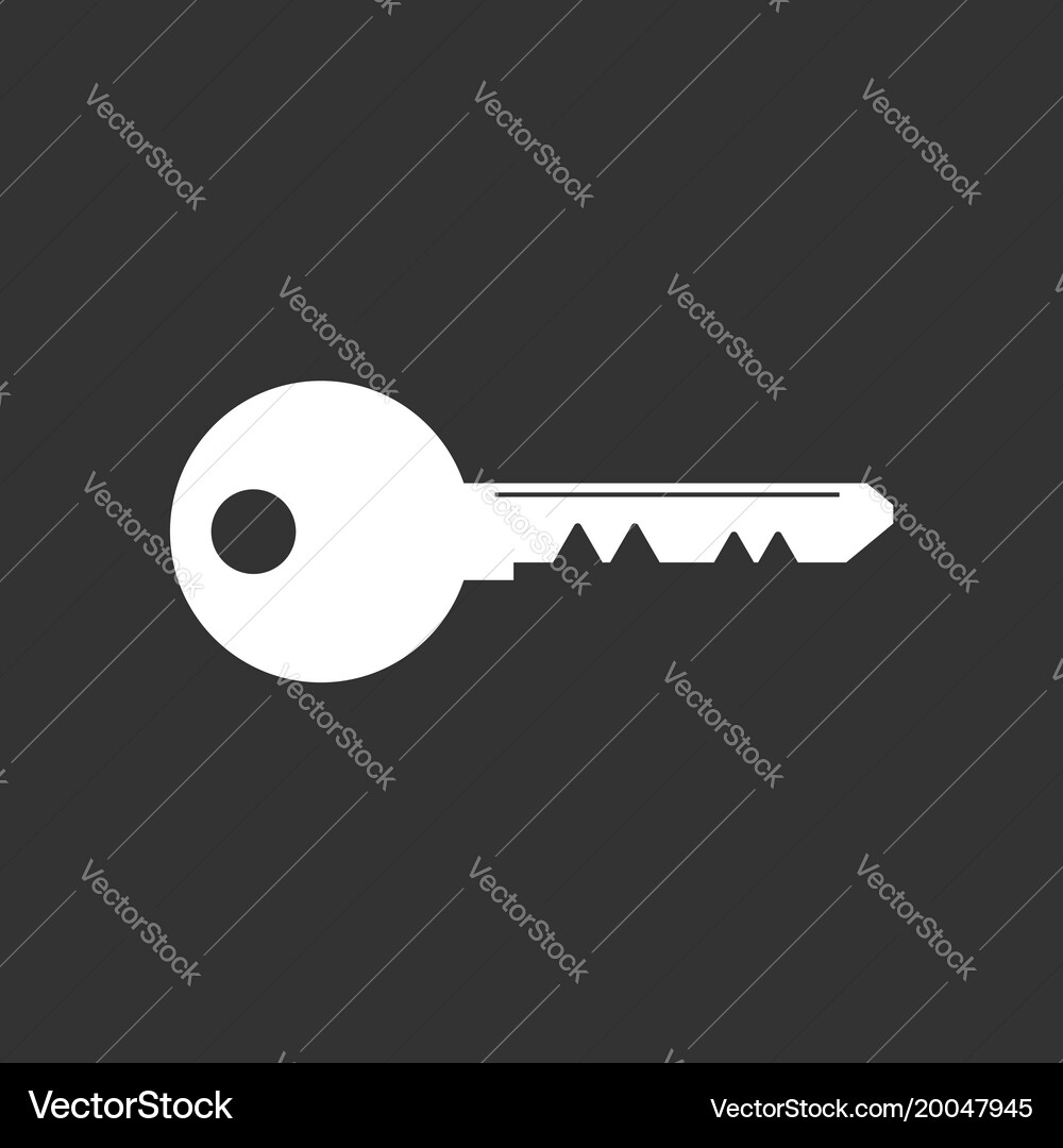 Key icon in flat style isolated on black Vector Image
