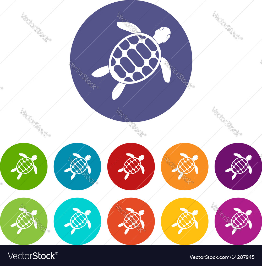 Turtle icons set flat Royalty Free Vector Image