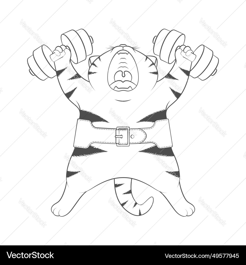 With cat dumbbells and athletic belt Royalty Free Vector