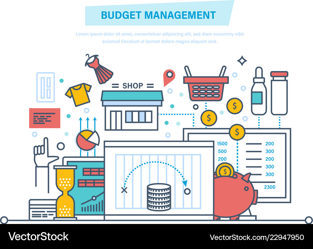 Budget management financial calculations Vector Image