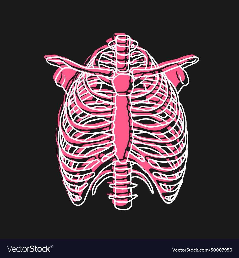 Chest bone Royalty Free Vector Image - VectorStock
