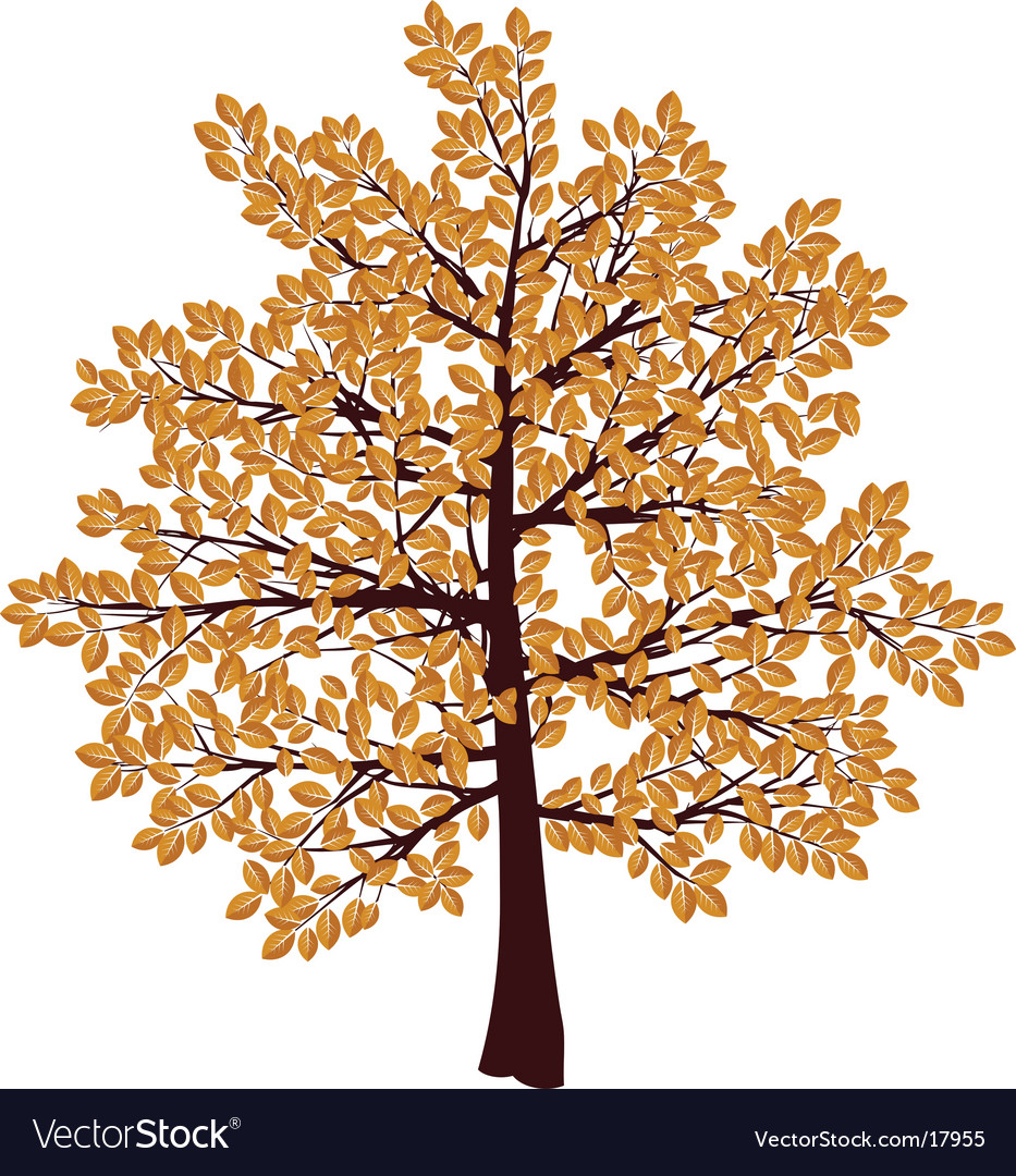 Autumn tree Royalty Free Vector Image - VectorStock