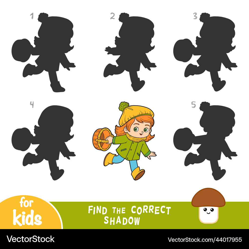 Find the correct shadow education game cartoon Vector Image