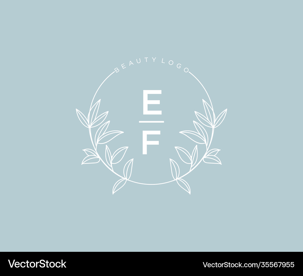 Initial ef letters beautiful floral feminine Vector Image