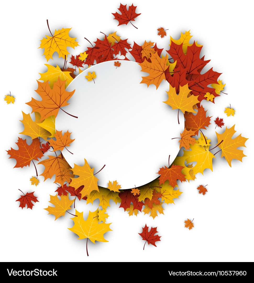 Autumn round background with maple leaves Vector Image