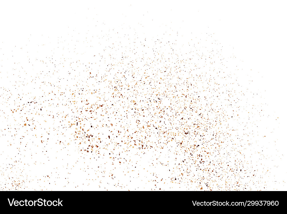 Coffee color grain texture isolated on white Vector Image