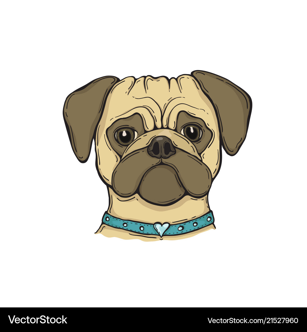 Head dog pug with collar hand-painted Royalty Free Vector