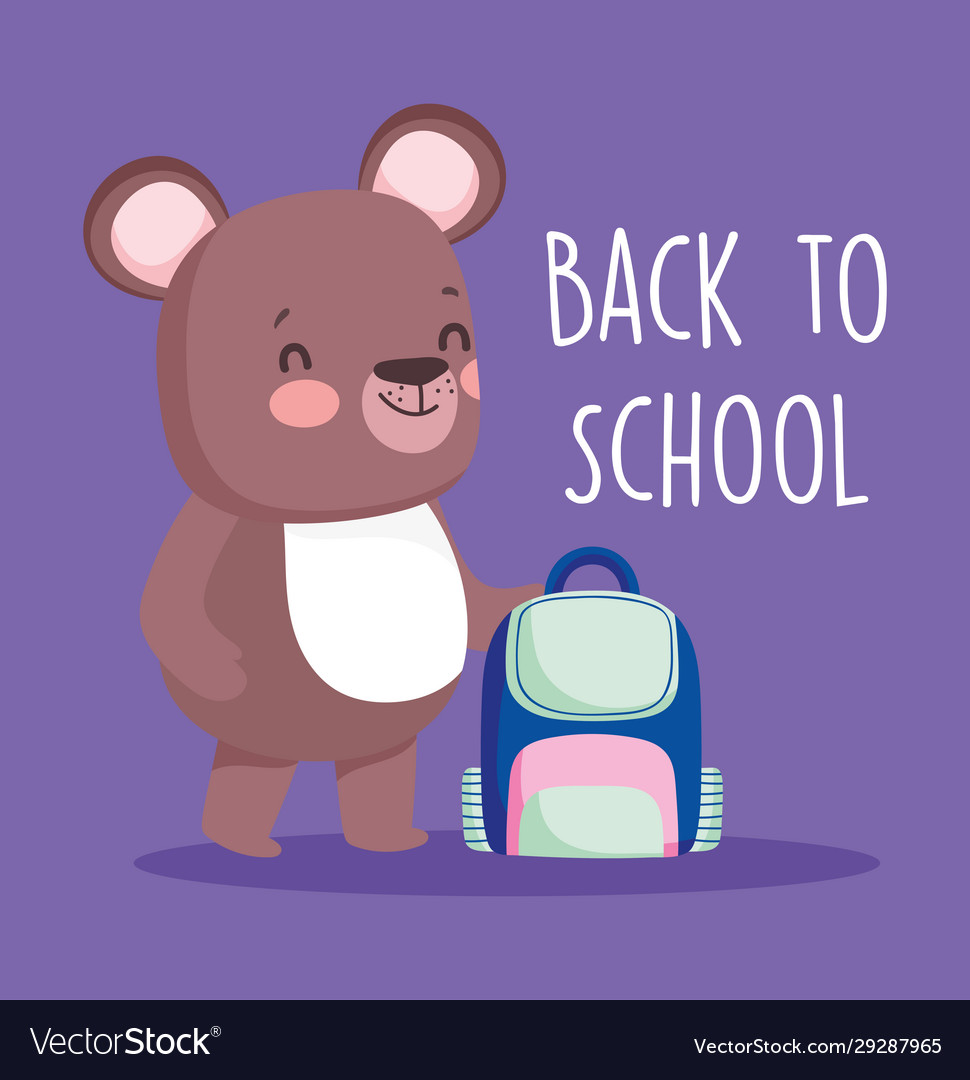 Back to school education cute little bear Vector Image