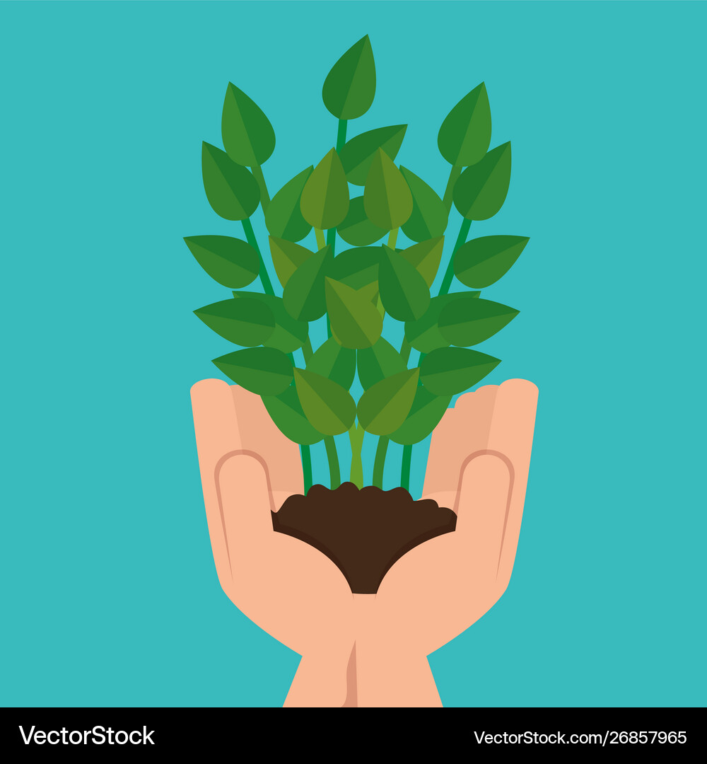 Hands with nature plants and leaves ground Vector Image
