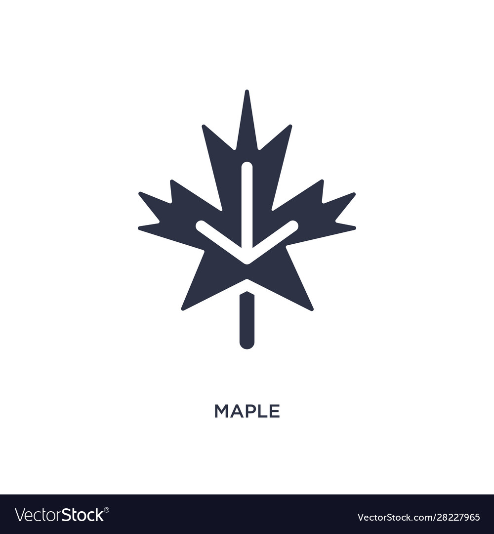 Maple icon on white background simple element Vector Image