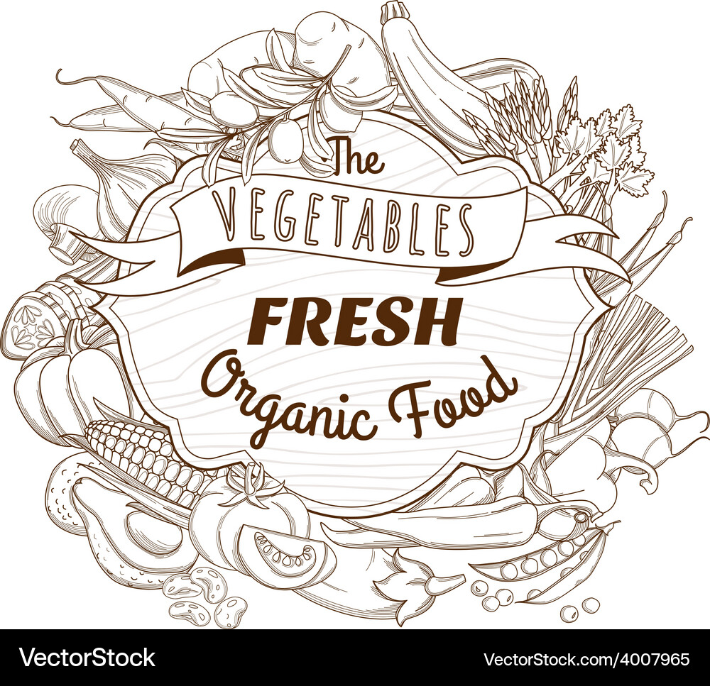 Outline hand drawn sketch vegetable wooden frame Vector Image