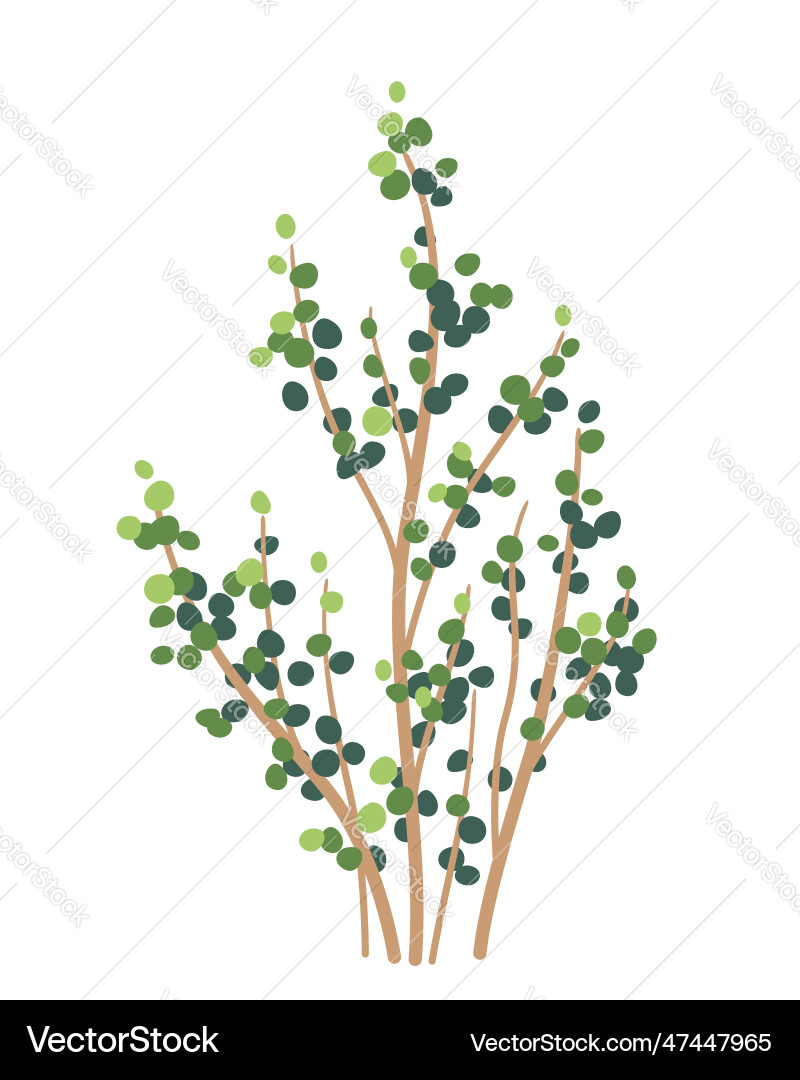 Simple bush with green leaves isolated Royalty Free Vector