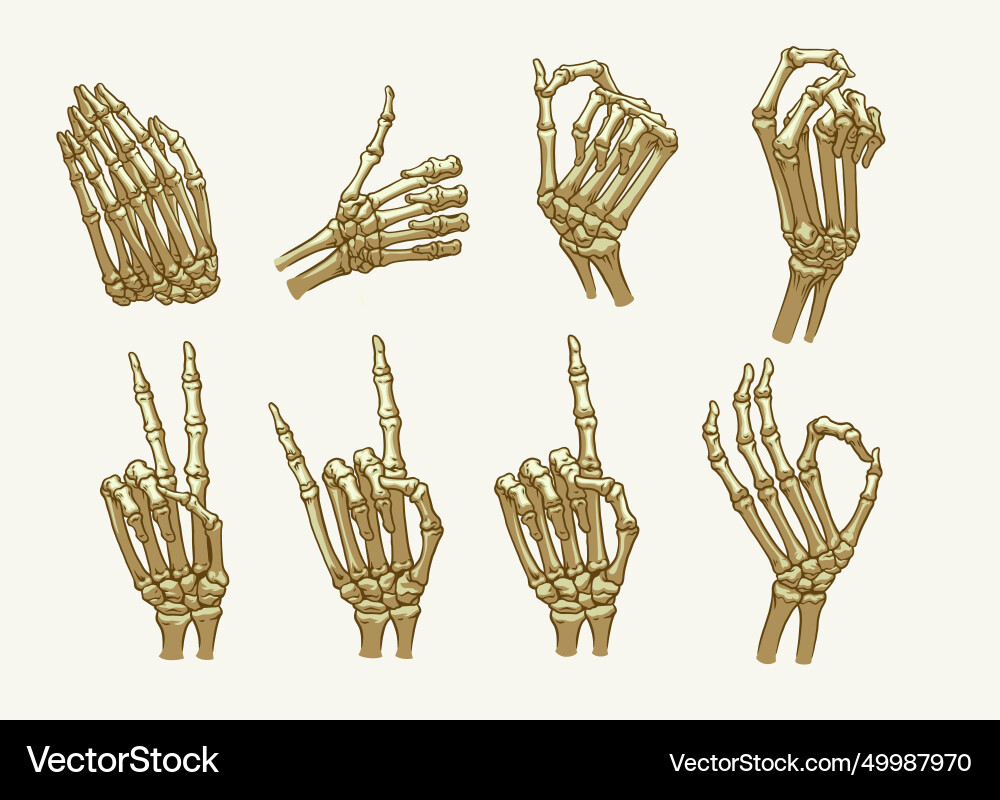 Set of skeleton hand gesture hand drawn Royalty Free Vector