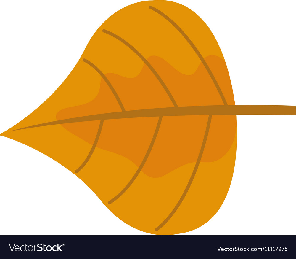 Autumn leaf Royalty Free Vector Image - VectorStock