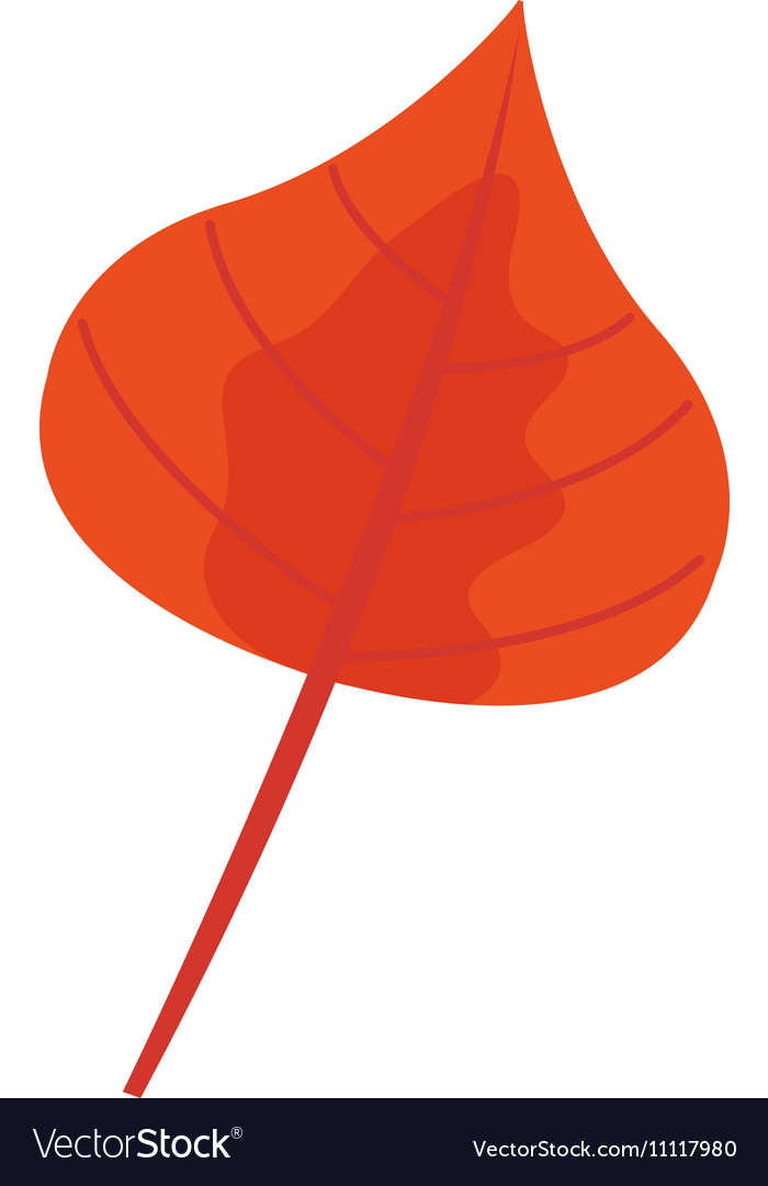 Autumn leaf Royalty Free Vector Image - VectorStock