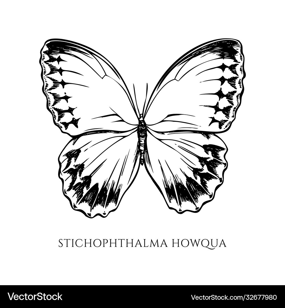 Set hand drawn black and white jungle Royalty Free Vector