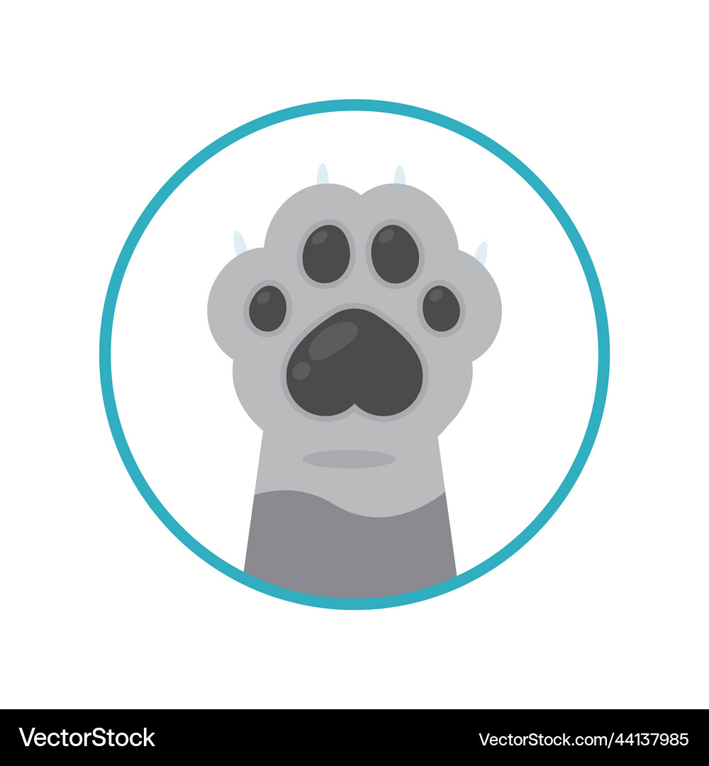 Cat paw set different species cute kitten hand Vector Image
