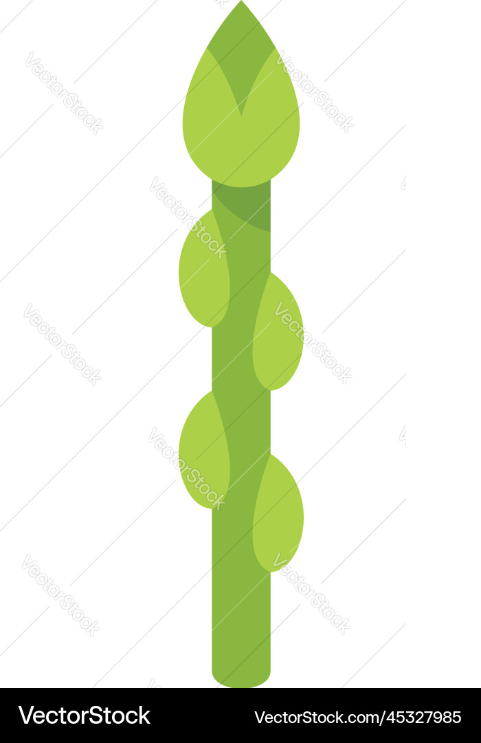 Organic asparagus icon flat plant bunch Royalty Free Vector