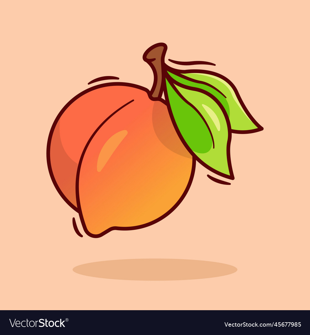 Peach Royalty Free Vector Image - VectorStock