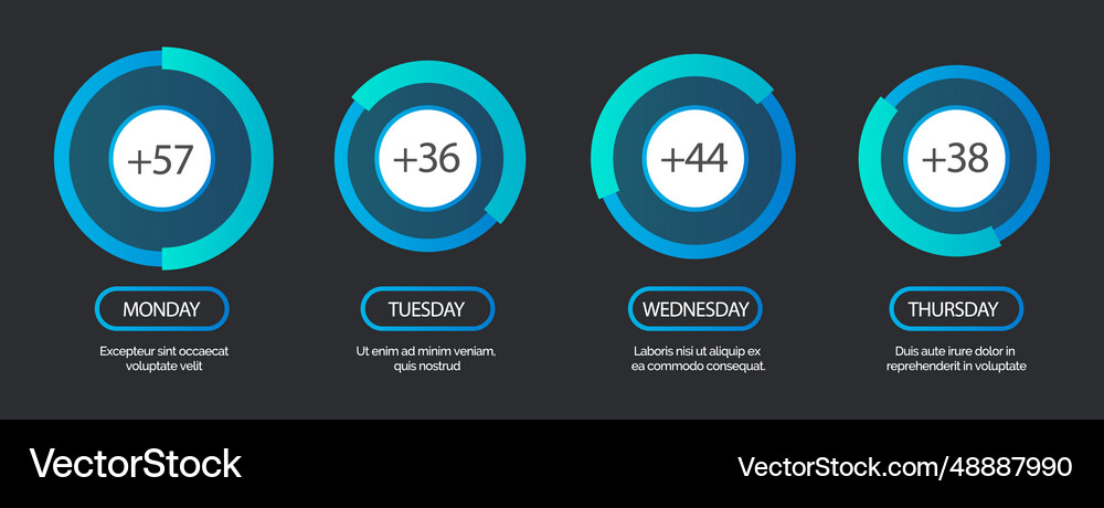 Infographic dashboard the financial report Vector Image