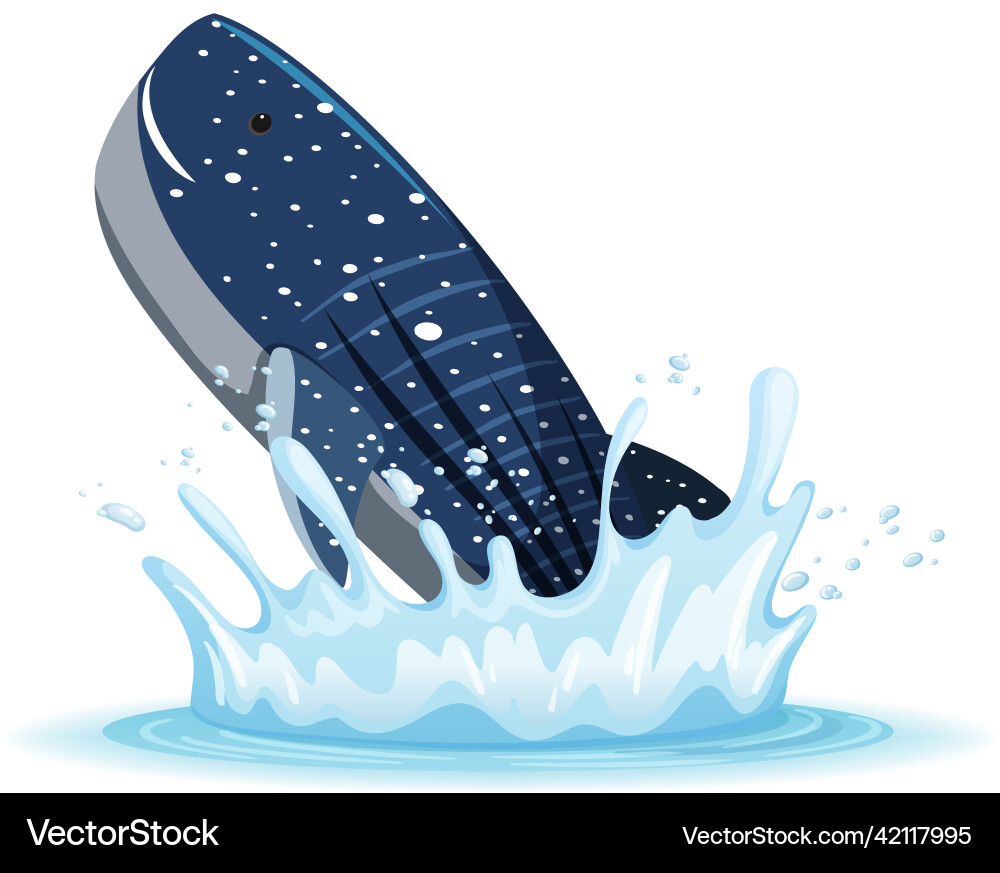 A water splash with whale on white background Vector Image
