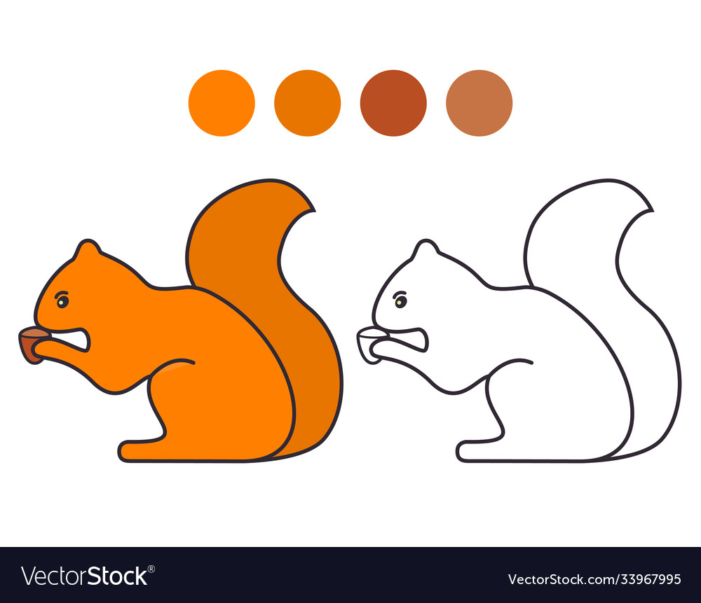 Animal little squirrel and nutcoloring book Vector Image