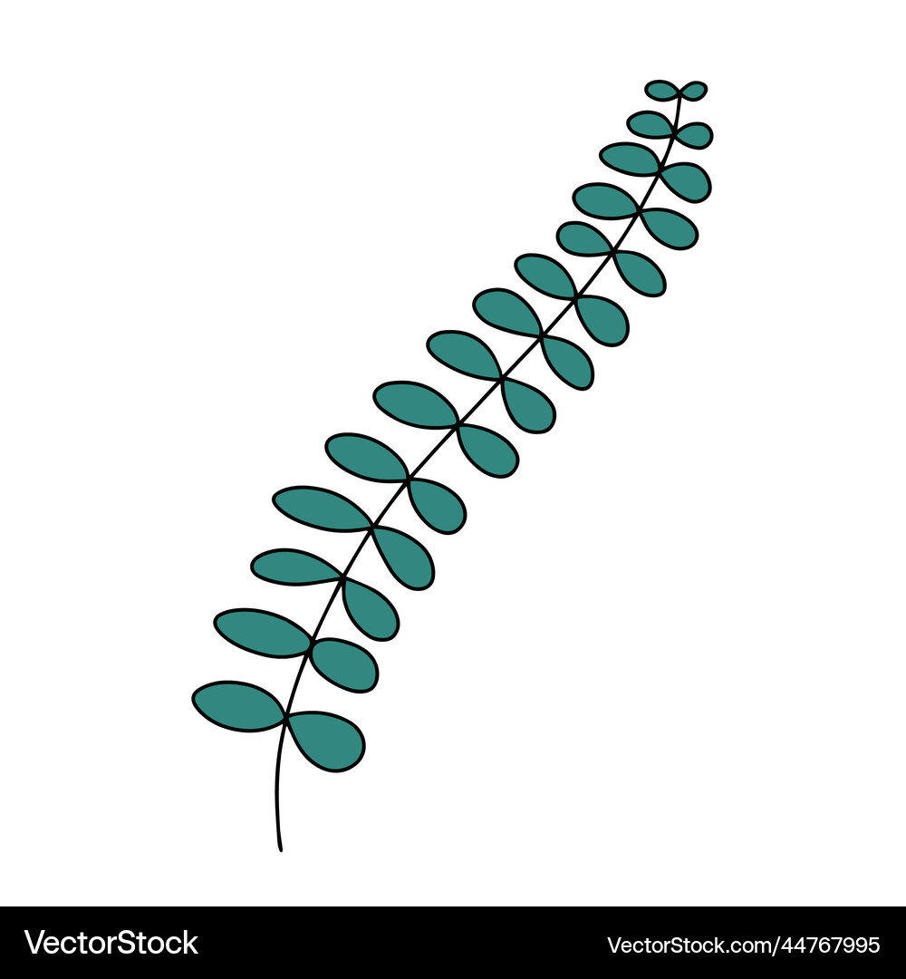 Fresh natural green leaf colored with stroke Vector Image