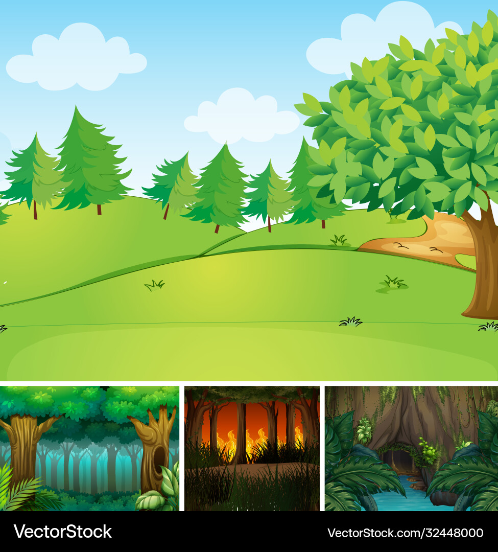 Four different nature scene forest and swamp Vector Image
