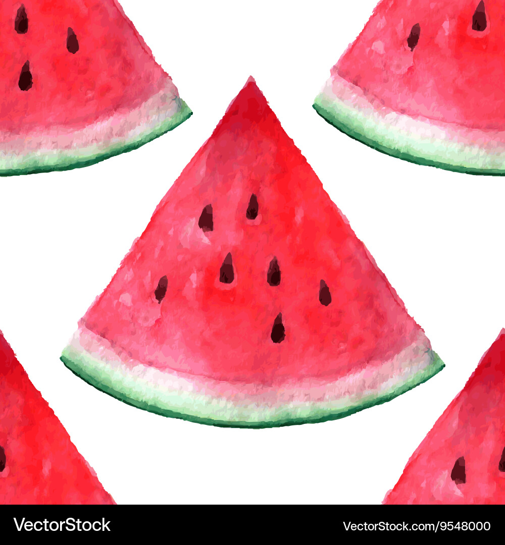 Seamless watercolor hand drawn watermelon Vector Image