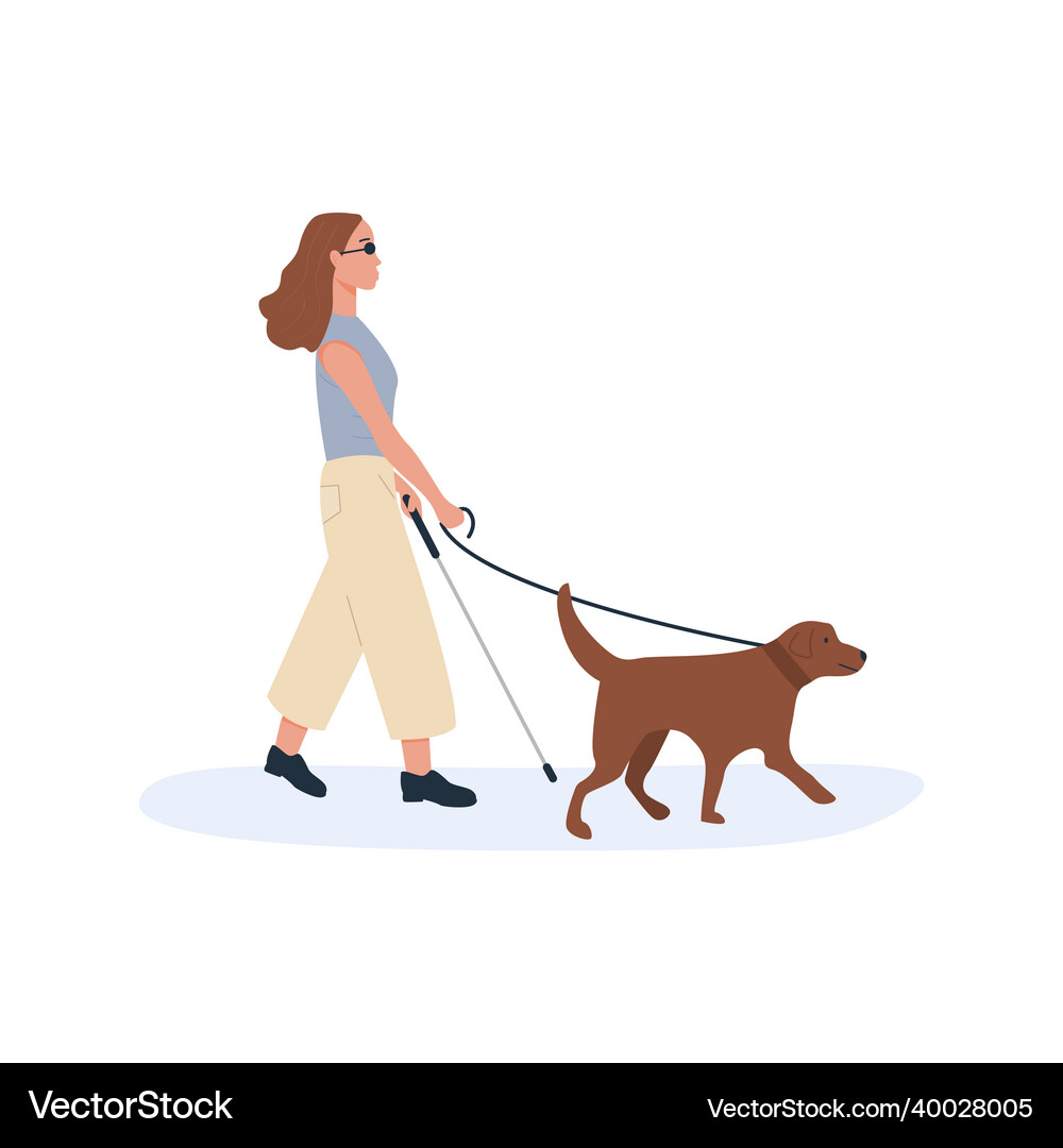 A guide dog with blind person walking together Vector Image